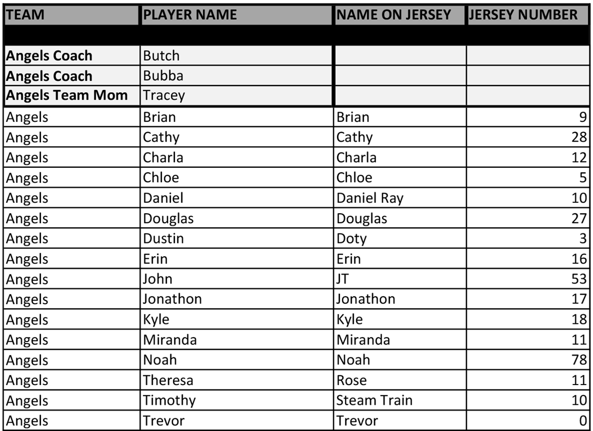 Teams - Moody Miracle League